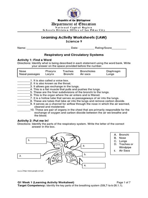 Image result for Answers Homework Sheet Week 9 Science