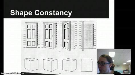 Image result for Shape Constancy Example