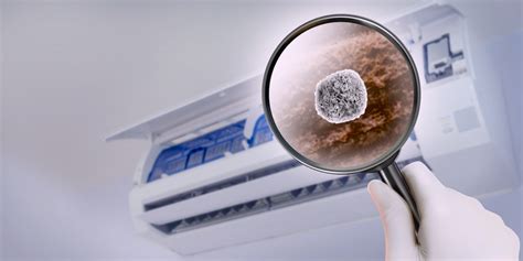 Image result for Mold Air Sampling Plating