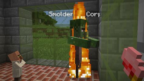 Image result for Minecraft Mob Control Mod