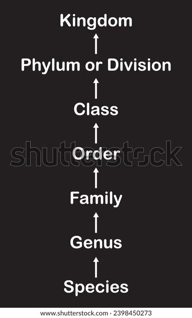 Image result for Classification Facts