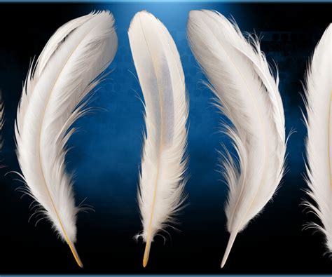 Image result for Feather Python