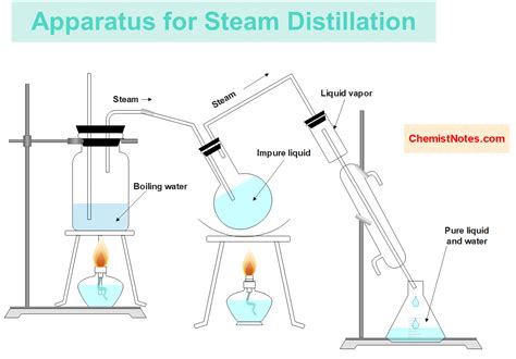 Image result for Steam Distillation Procedure