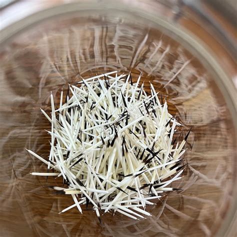 Image result for Using Porky Quills