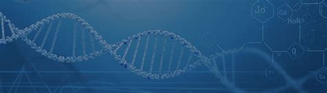 Image result for Estimation of Protein Content Using Elisa