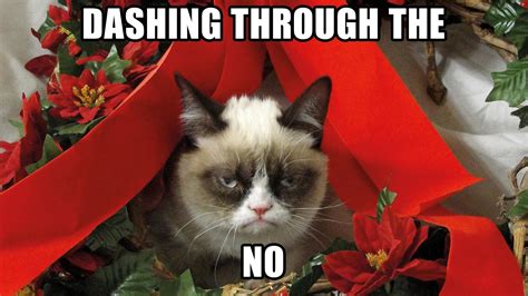 Image result for Grumpy Cat Humor
