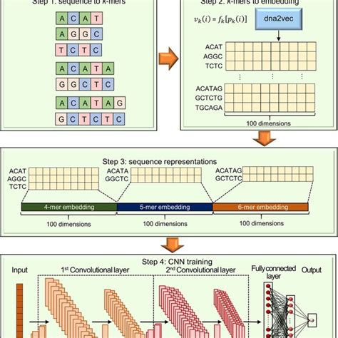 Image result for Enhancer Sequence