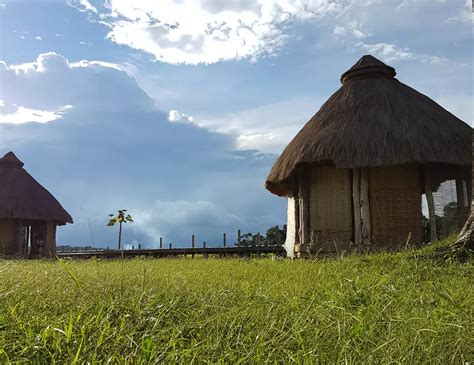 Image result for Python Buea Cameroon