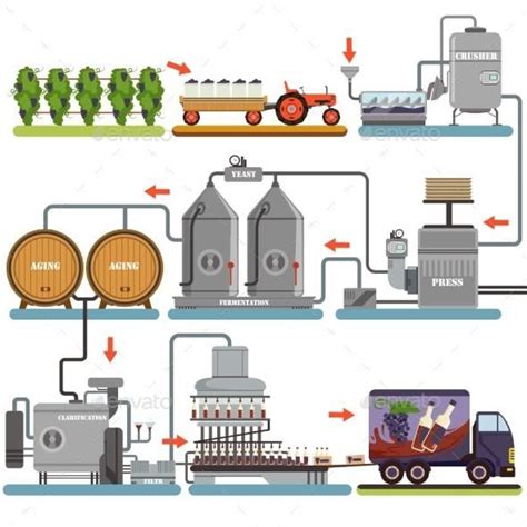 Image result for Wine Production Process