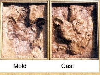 Image result for Science Notes for 3rd Grade