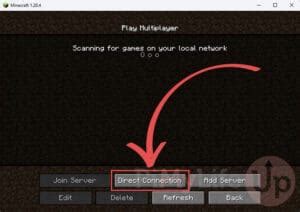 Image result for How to Use Direct Connection in Minecraft