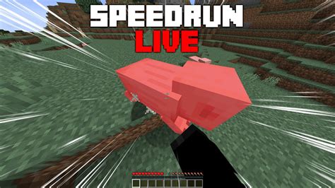 Image result for MC SpeedRun