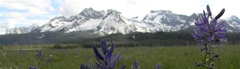 Image result for Natural Resource Science