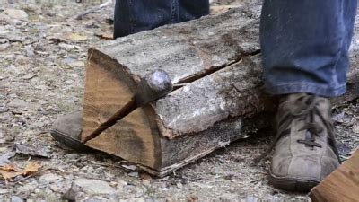 Image result for How to Split a Log
