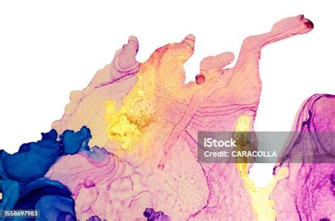 Image result for Creativity Transparent