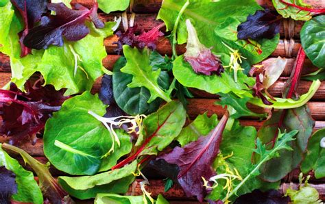 Image result for Spring Jazz Mix