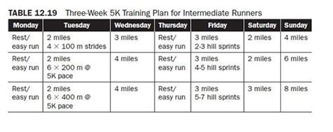 Image result for 4 Week Endurance Training Program