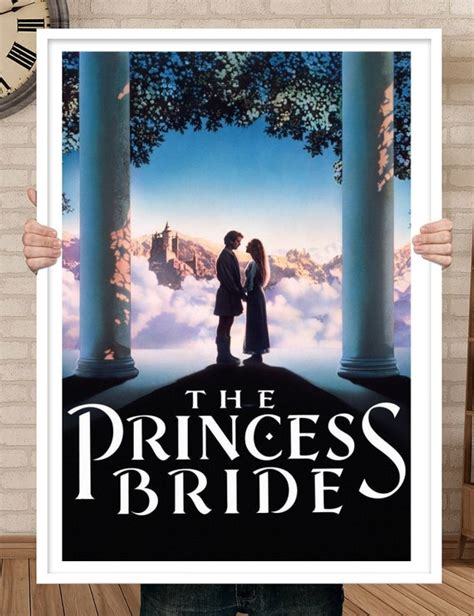 Image result for Princess Bride Movie Cover Art