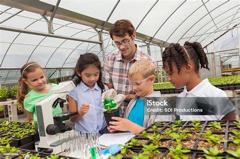 Image result for Learning Botany Australia