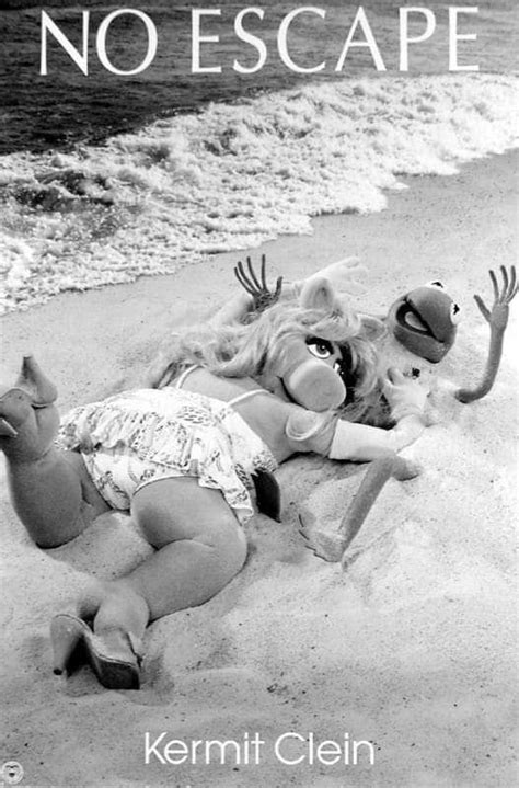 Image result for The Muppet Show Rainbow Connection