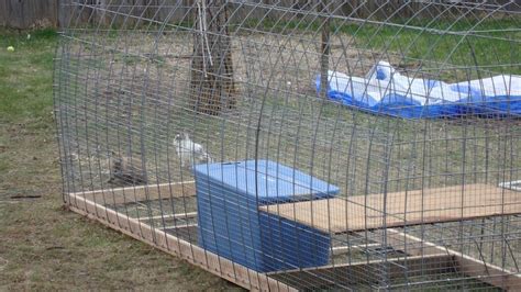 Image result for Rabbit Tractor Design