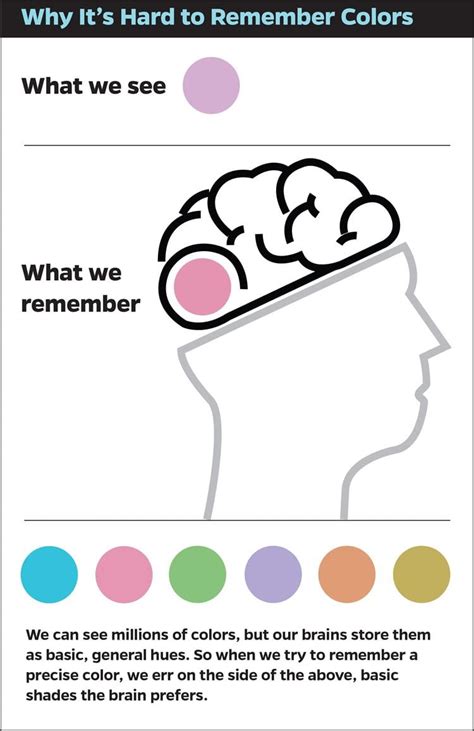 Image result for How Color Affects Memory