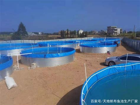Image result for Fish Farm Example