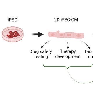 Image result for Reprogramming Methods