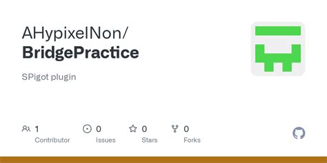 Image result for Bridge Practice IP