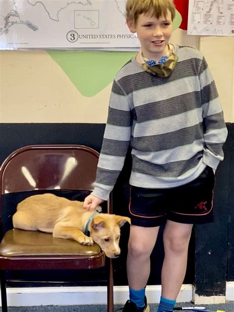 Image result for Classical Conversations English