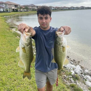 Image result for Snakehead Fish Hunting