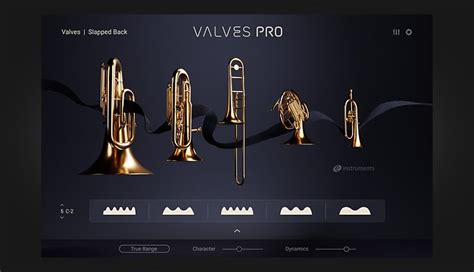 Image result for Native Instruments Valves VST
