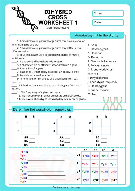 Image result for Human Genetics Worksheet Answers