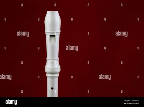 Image result for Recorder Wind Instrument