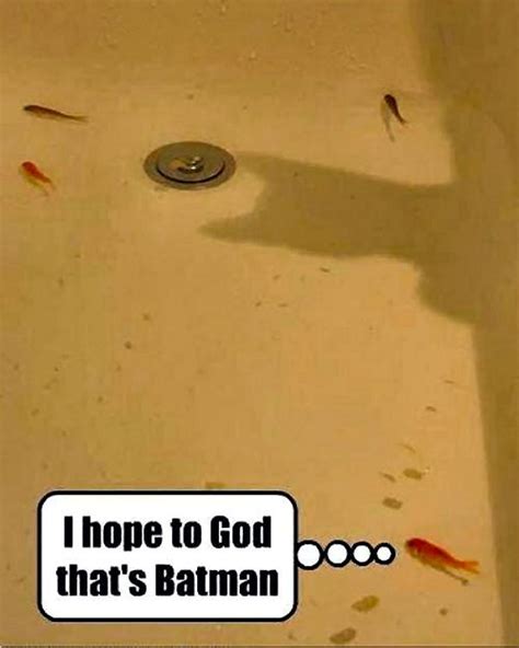 Image result for Fish Fail