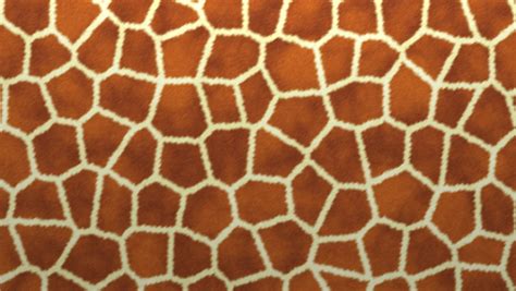 Image result for Pattern Disrupt