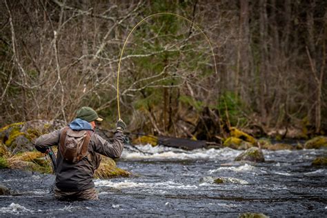 Image result for Vision Icon Fly Rod