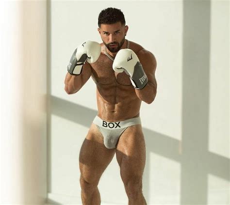 Image result for Boxer Model Mengine