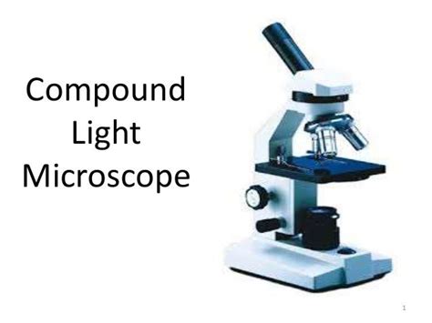 Image result for Scientific Microscope