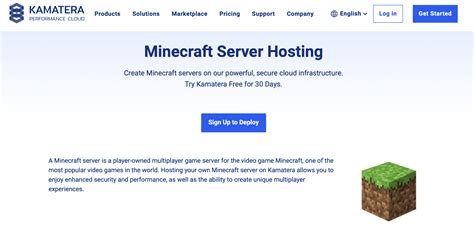 Image result for Free Minecraft Servers for Java