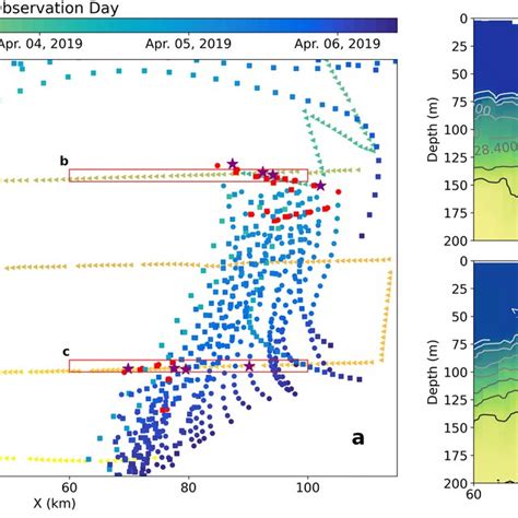 Image result for Time Sampling Observations