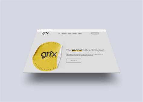 Image result for Problems Getting Grfx Studio Software to Work