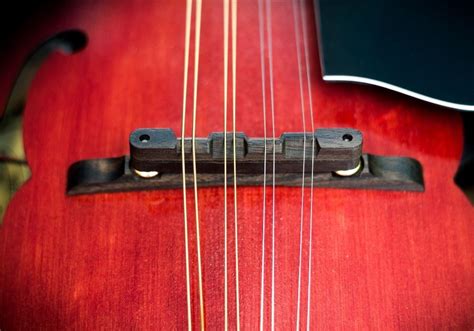 Image result for Mandolin String Types