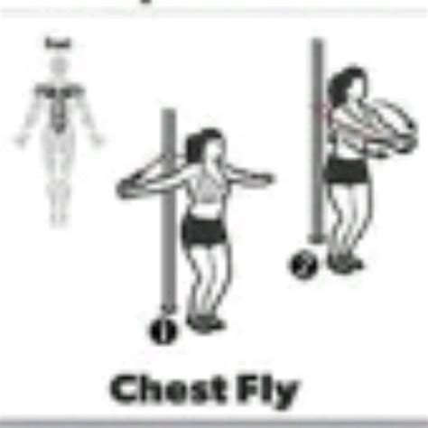 Image result for Inverted Chest Fly