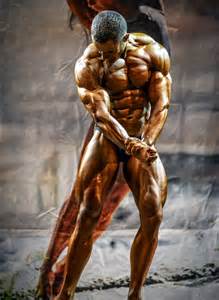 Image result for Body Composition Muscle