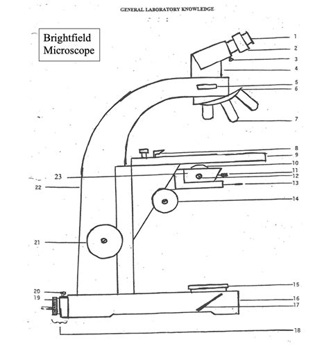 Image result for Microscope Label Diagram