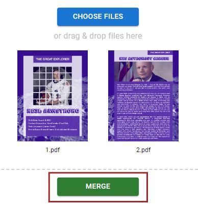 Image result for Merged PDF File