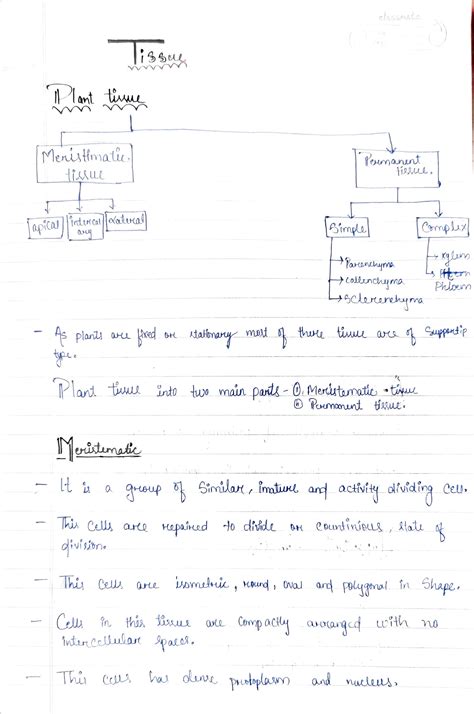 Image result for Class 9 Science Chapter Tissue