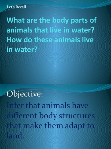 Image result for 4 Class Science Lesson 2