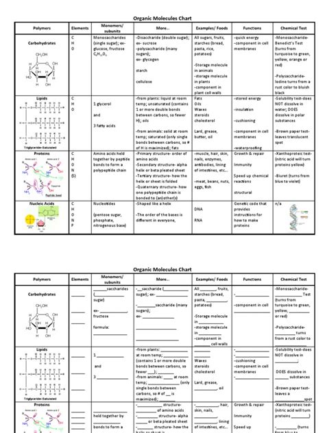 Organic Molecules Chart: Polymers Elements Monomers/ Subunits More ...